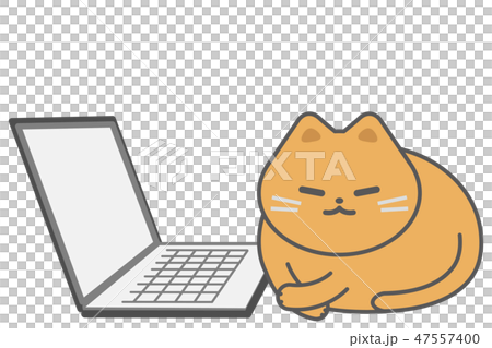 Cat and computer - Stock Illustration [47557400] - PIXTA