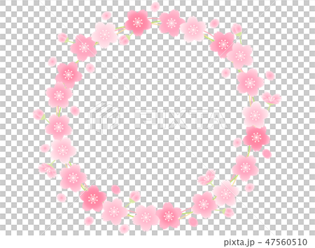 Sakura 60 Sakura Frame - Stock Illustration [47560510] - PIXTA