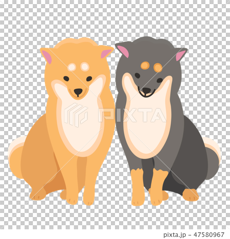 Shiba Inu dog Akaiba Kuroba pose facial... - Stock Illustration ...