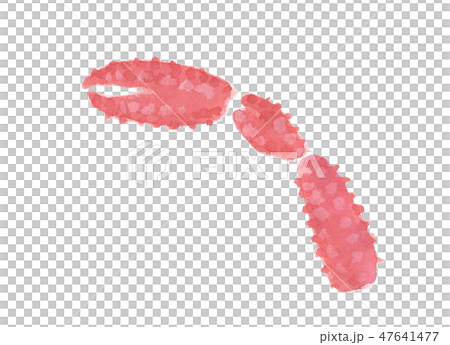 Crab's foot - Stock Illustration [47641477] - PIXTA