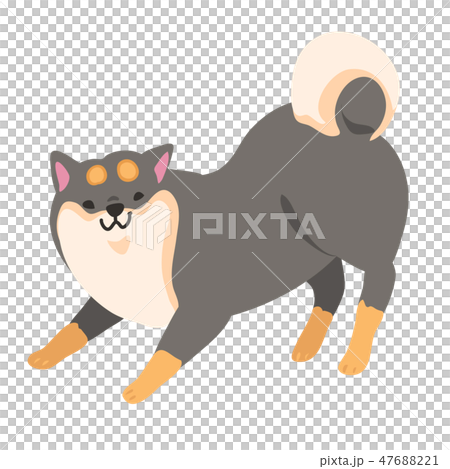 Shiba Inui dog Kuroba pose facial expression... - Stock Illustration ...