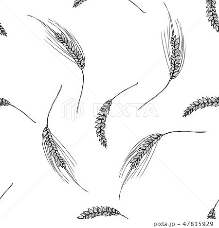 Seamless pattern with black and white ryeのイラスト素材 [47815929] - PIXTA