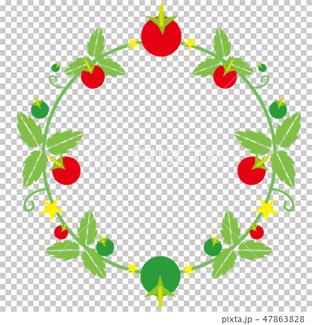 Petit tomato circular frame - Stock Illustration [47863828] - PIXTA