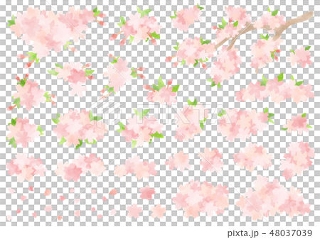 Sakura parts set - Stock Illustration [48037039] - PIXTA