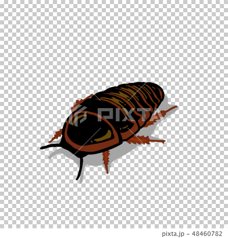 Duvia - Stock Illustration [48460782] - PIXTA