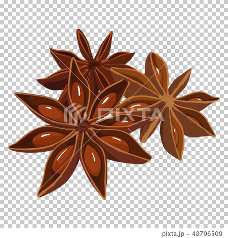 Spices illustration. Octagon (star anise) used... - Stock Illustration ...