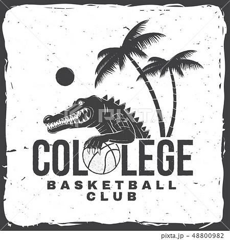 College Basketball Logos Vector