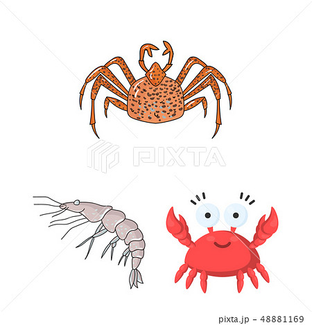 Crab On Beach Clipart Borders