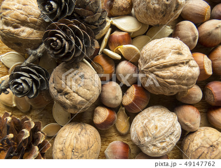 Beautiful photo with seeds and nutsonの写真素材 [49147762] - PIXTA
