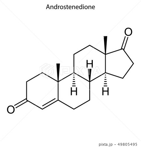 Steroid Skeleton Structure