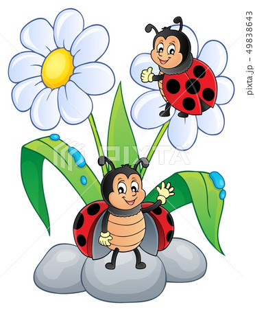 Spring Flowers Clip Art Ladybugs 6,842 Ladybug Flower Stock Photos,
