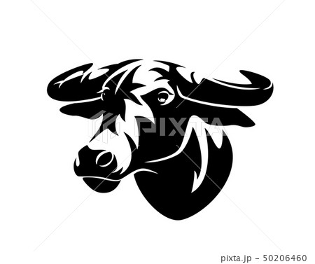 Carabao Head