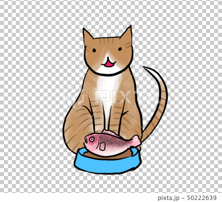Cat Gohan - Stock Illustration [50222639] - PIXTA