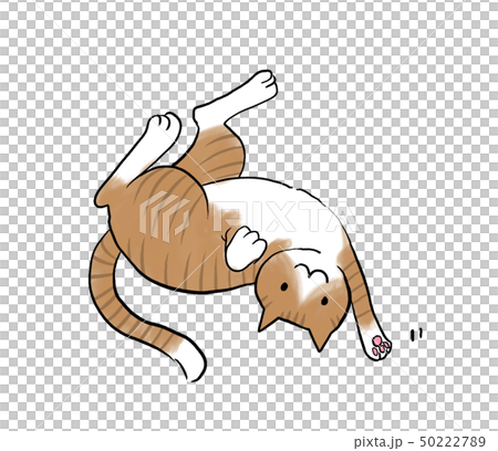 Twist cat - Stock Illustration [50222789] - PIXTA