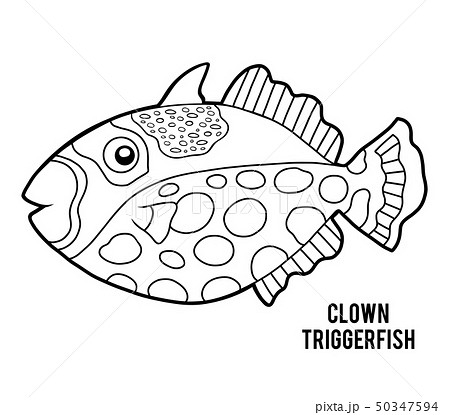 Clown Triggerfish Drawing
