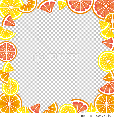 Citrus frame illustration - Stock Illustration [50475210] - PIXTA