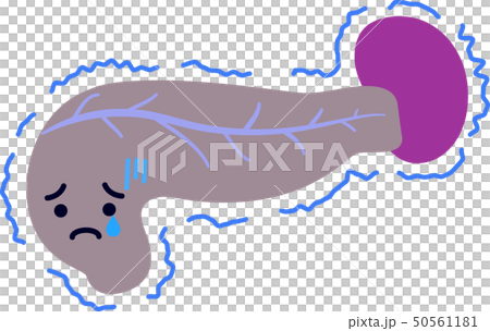 Pancreas Spleen Duodenal Health Care Human Body... - Stock Illustration ...