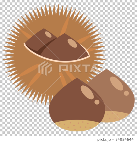 Clam and chestnut set - Stock Illustration [54084644] - PIXTA