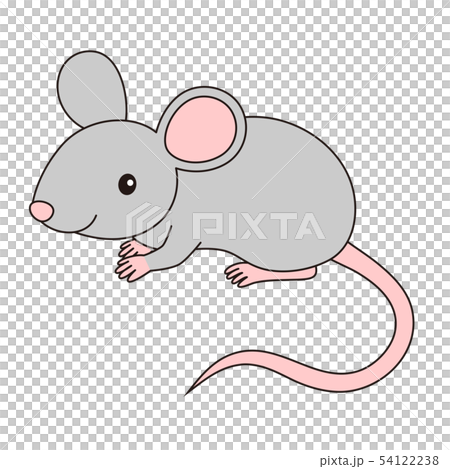Simple and reasonably realistic touch mouse... - Stock Illustration ...