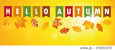 hello autumn party flags banner on yellow sunny...のイラスト素材 [54843245 ...
