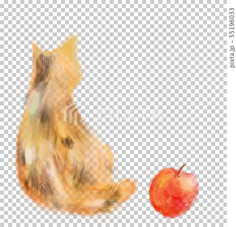 Cat and apple - Stock Illustration [55196033] - PIXTA