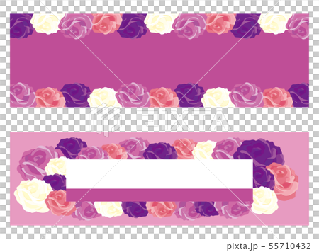 Rose banner -purple rose- - Stock Illustration [55710432] - PIXTA