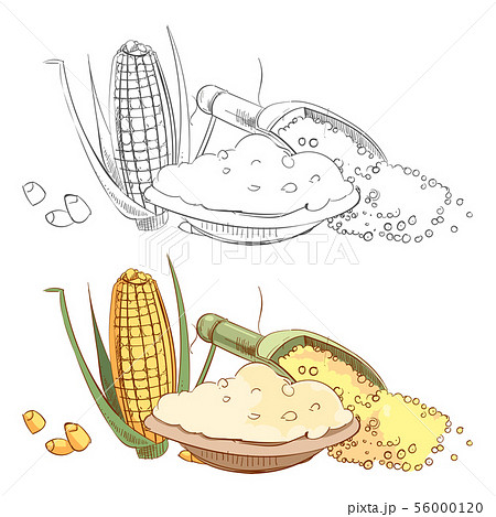 Corn porridge sketch coloring pageのイラスト素材 [56000120] - PIXTA