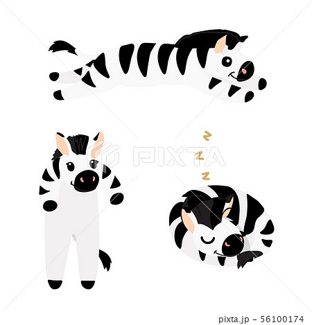 vector flat cartoon animal clip artのイラスト素材 [56100174] - PIXTA