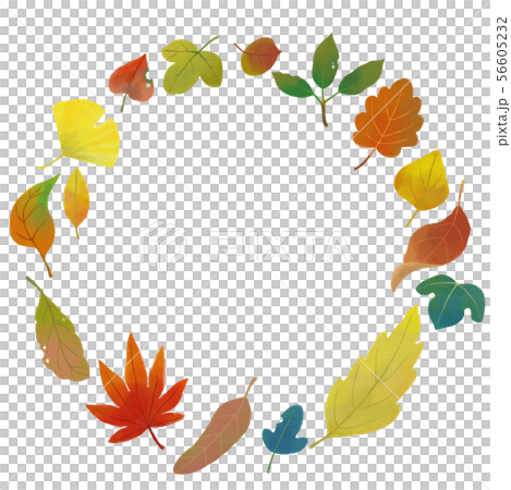 Fallen leaf frame - Stock Illustration [56605232] - PIXTA