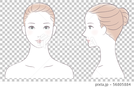 Woman Front & profile set 2 - Stock Illustration [56805884] - PIXTA