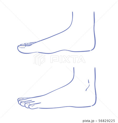 Foot Front View Drawing
