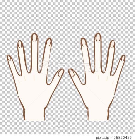 Illustration of back of hand - Stock Illustration [56830485] - PIXTA