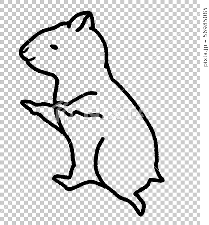 Hamster line drawing - Stock Illustration [56985085] - PIXTA