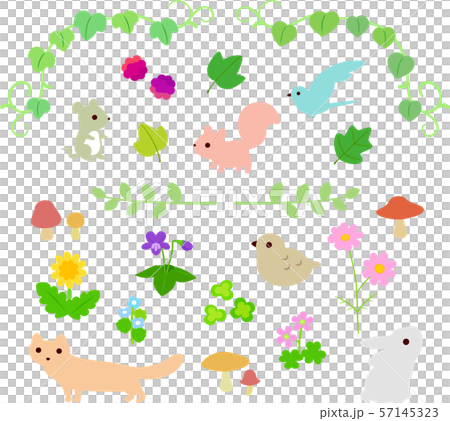 Illustration set of flowers and small animals - Stock Illustration ...