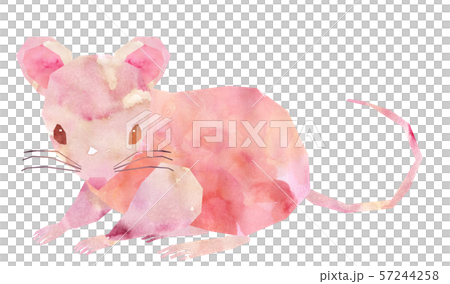 Mouse deformation 2 with beard - Stock Illustration [57244258] - PIXTA