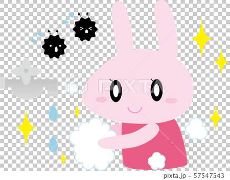 Wash hand rabbits - Stock Illustration [57547543] - PIXTA