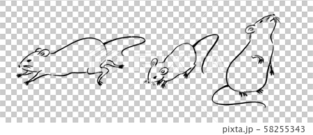 Mouse line art 1 - Stock Illustration [58255343] - PIXTA