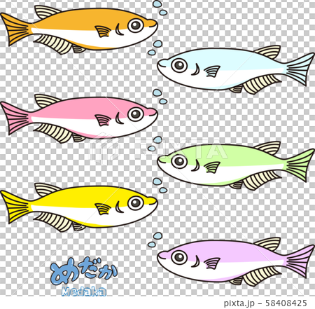 Medaka 6 colors set Colorful - Stock Illustration [58408425] - PIXTA