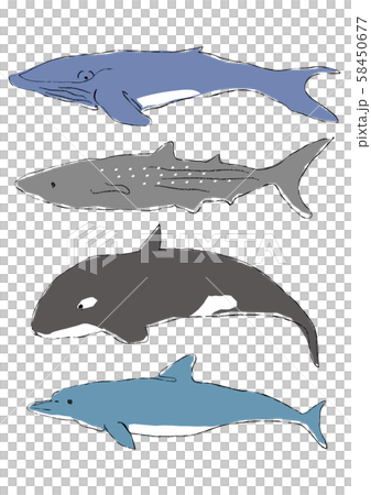 Big sea creature vector - Stock Illustration [58450677] - PIXTA
