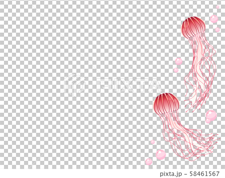 Jellyfish illustration_red jellyfish_frame - Stock Illustration ...