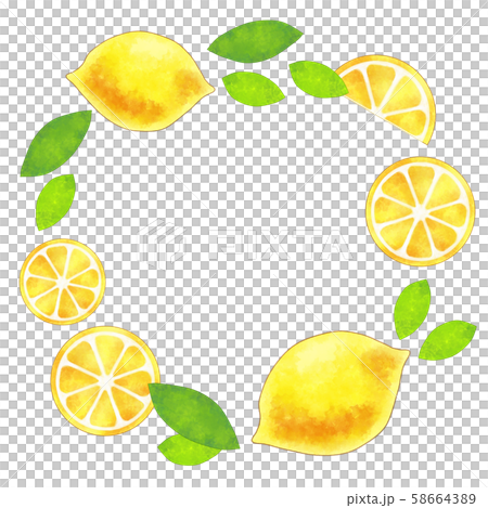 Lemon lease wreath watercolor - Stock Illustration [58664389] - PIXTA