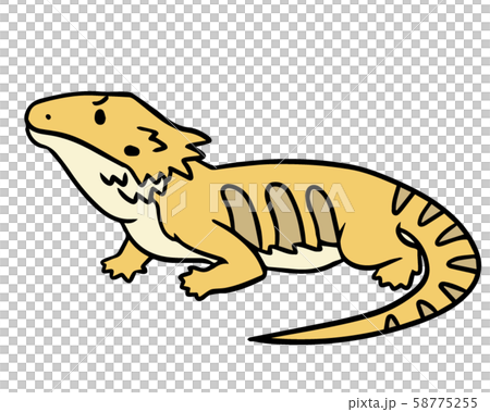 Illustration of a simple bearded lizard (angry... - Stock Illustration ...