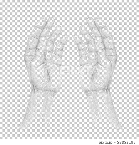 Both hands pencil sketch - Stock Illustration [58852195] - PIXTA