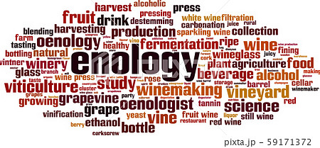 Enology word cloudのイラスト素材 [59171372] - PIXTA