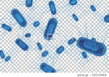 Illustration of E. coli (computer graphic:... - Stock Illustration ...