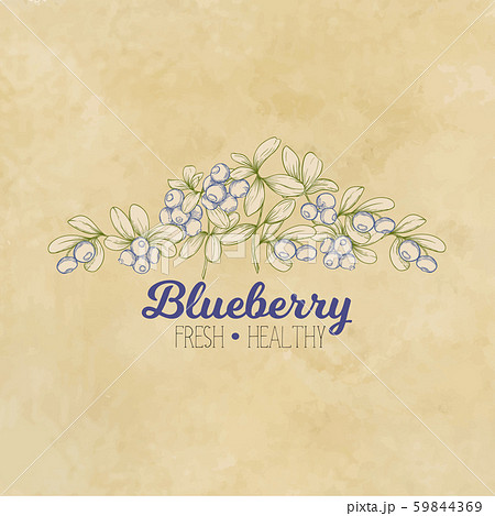 Blueberry. Element for design.のイラスト素材 [59844369] - PIXTA