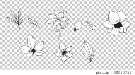 Set of monotone flowers and leaves - Stock Illustration [60023782] - PIXTA