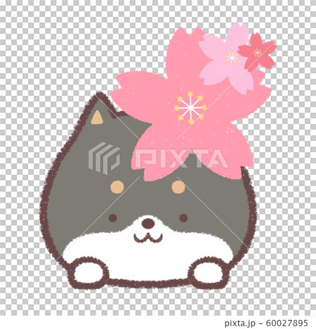 Black Shiba Inu April Sakura - Stock Illustration [60027895] - PIXTA
