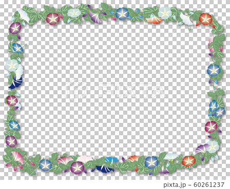 Asagao Frame 3 - Stock Illustration [60261237] - PIXTA
