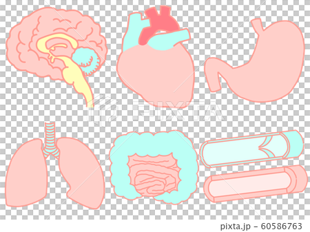 Organ set (pastel) - Stock Illustration [60586763] - PIXTA